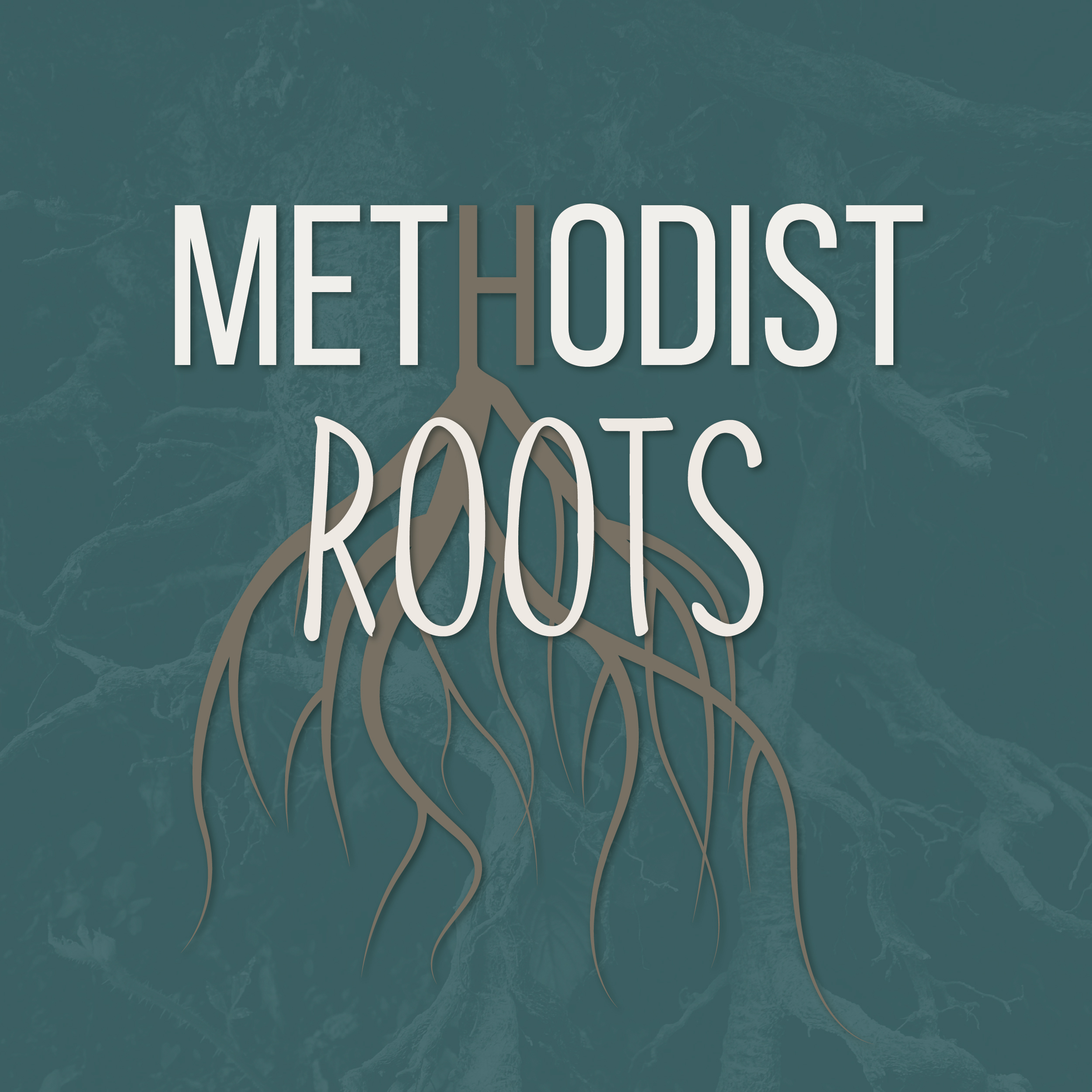 Curriculum Guides and Studies - First Methodist Mansfield