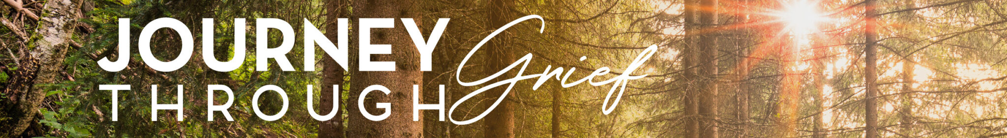 Support Groups - First Methodist Mansfield